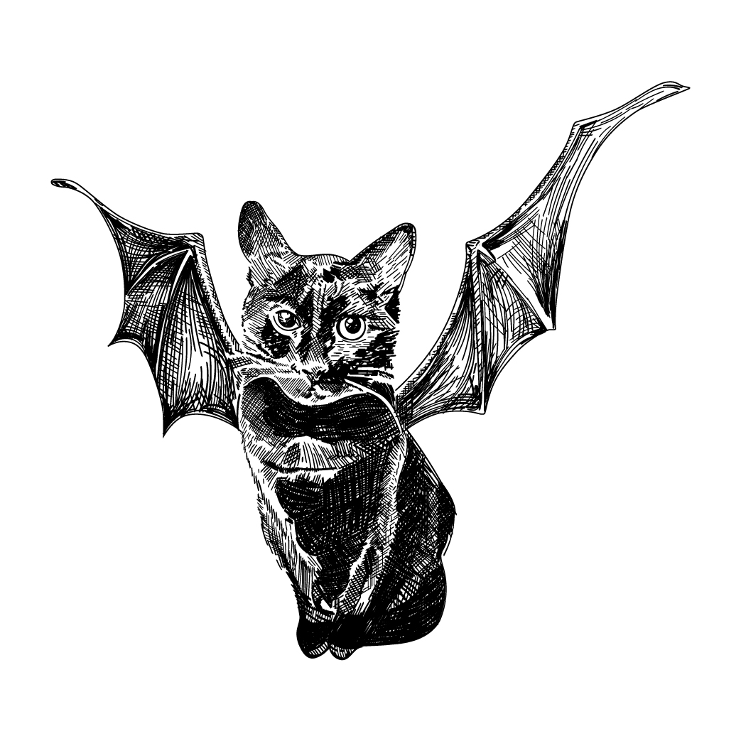 Portfolio - Vector Art Work - Lyco Designs